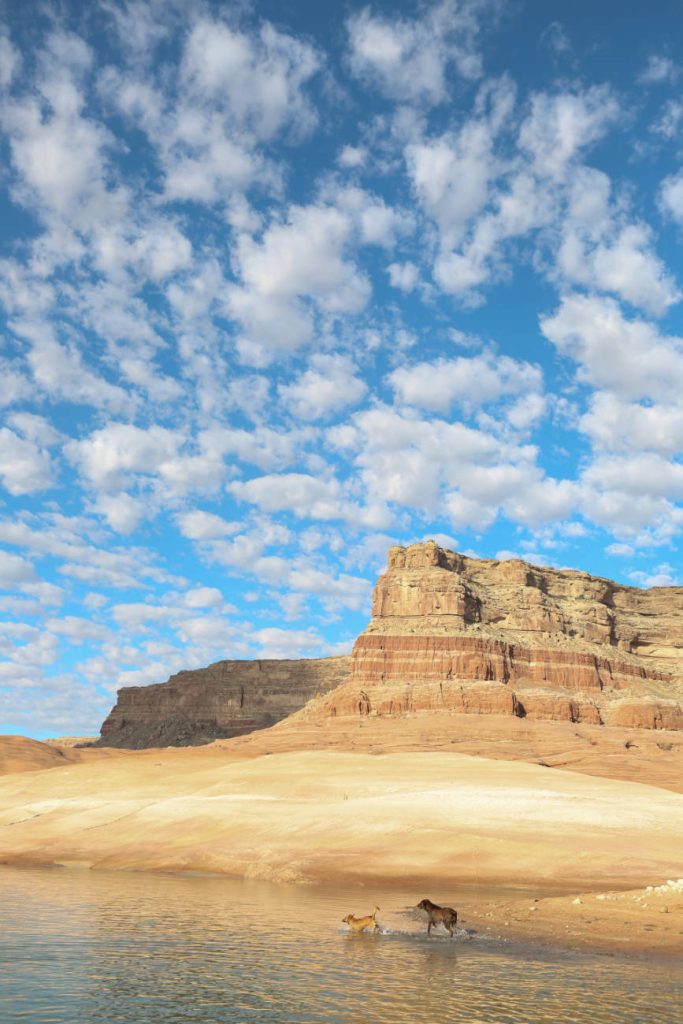 The Lake Powell Visitor Guide & Flipbook